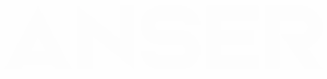 What We Do - ANSER